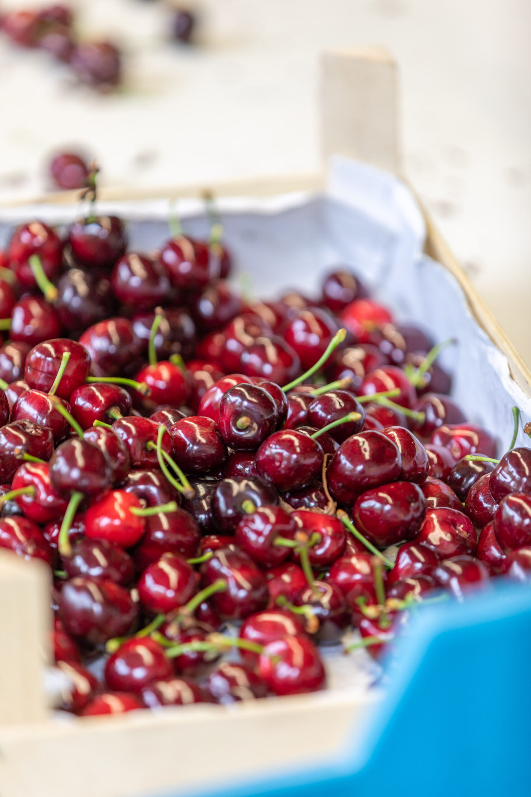 Kersen - Uit in de Regio
